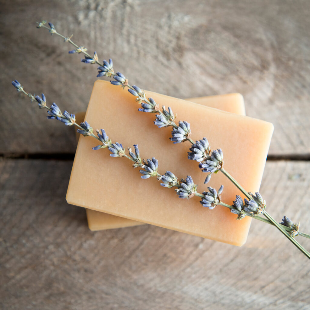Goat Milk Soap - The Freckled Farm Soap Company